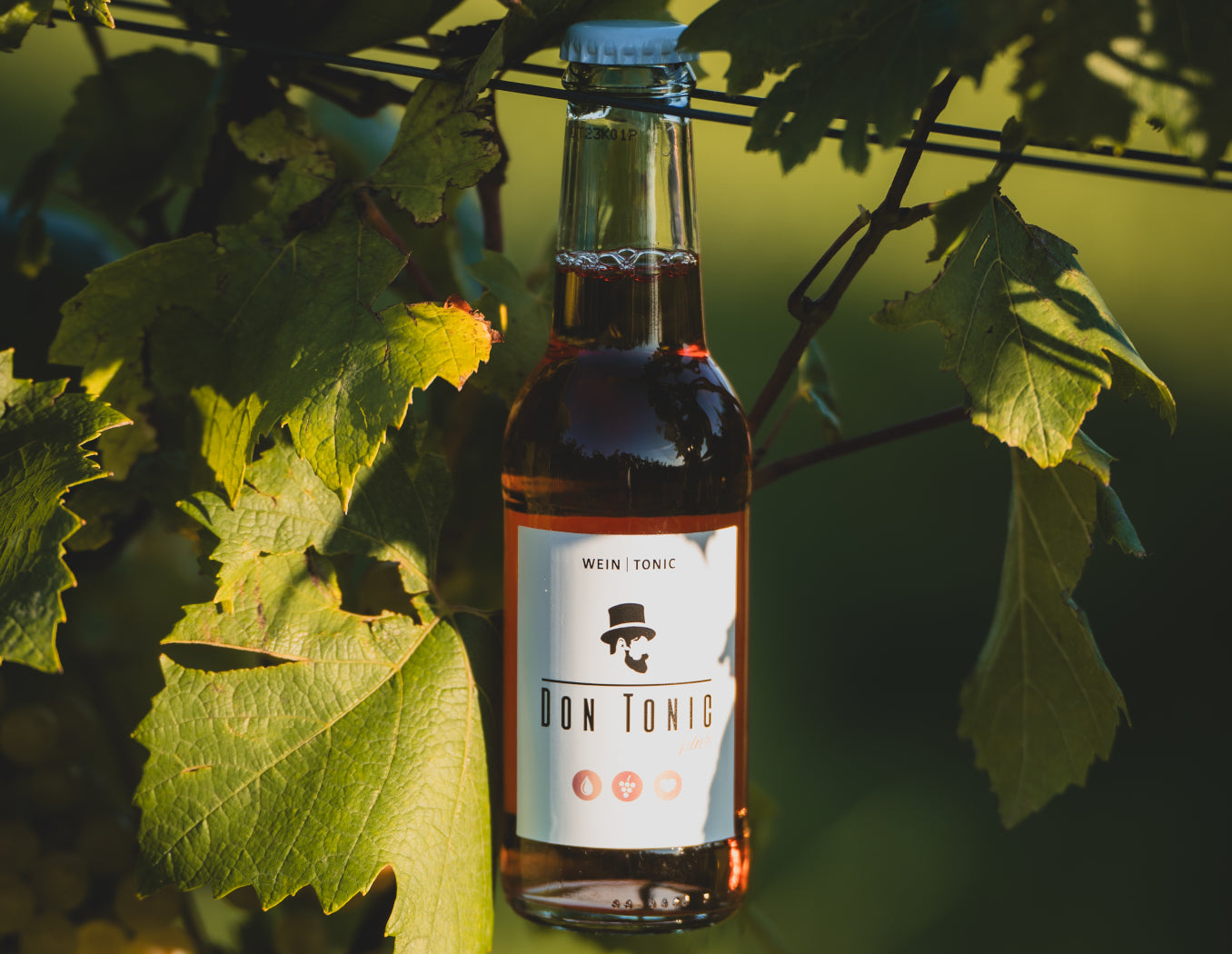 Don Tonic pink - 0,2l – Don Drinks